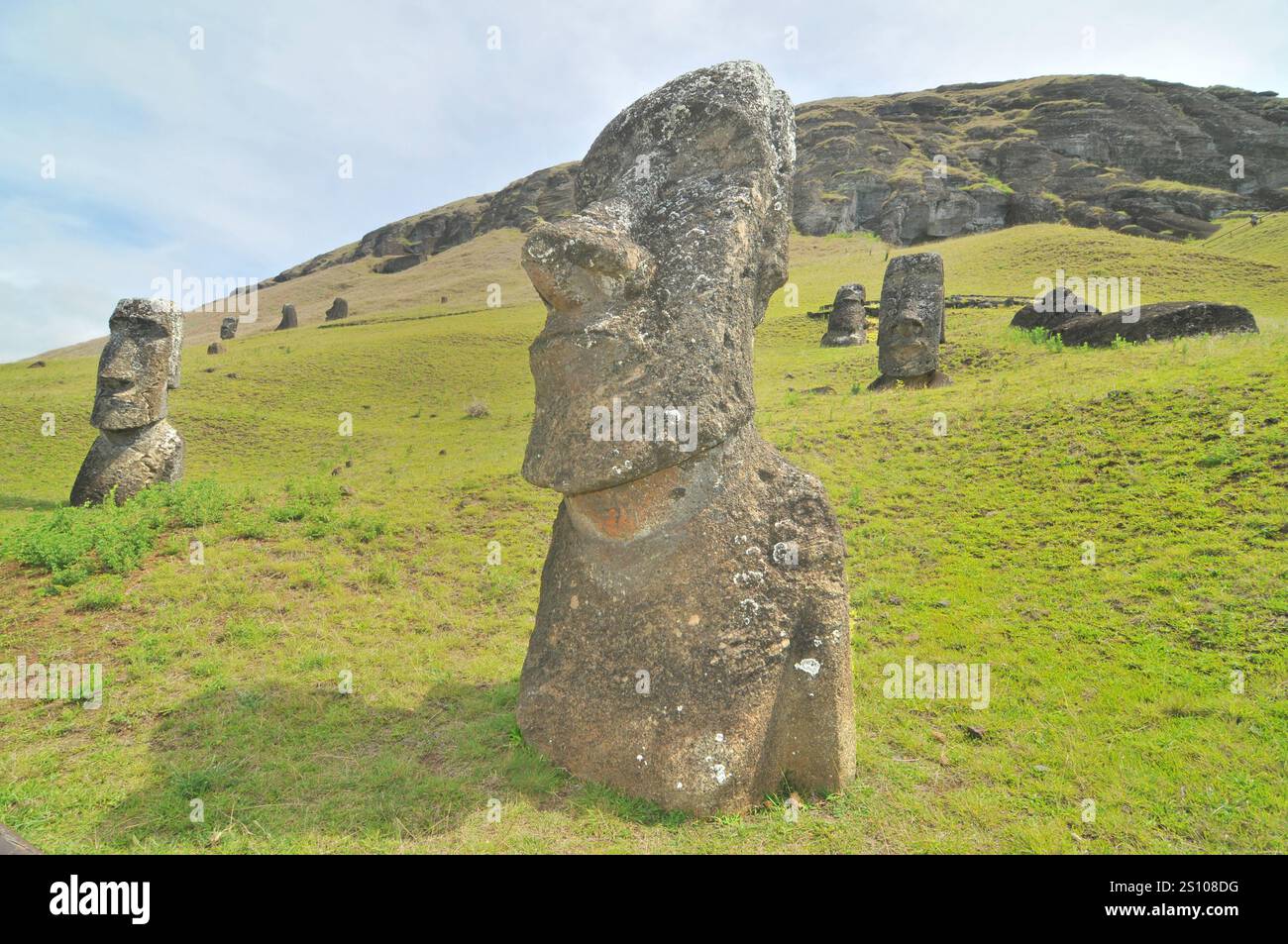 Moai statues abandoned on the slopes of the Rano Raraku volcano on ...
