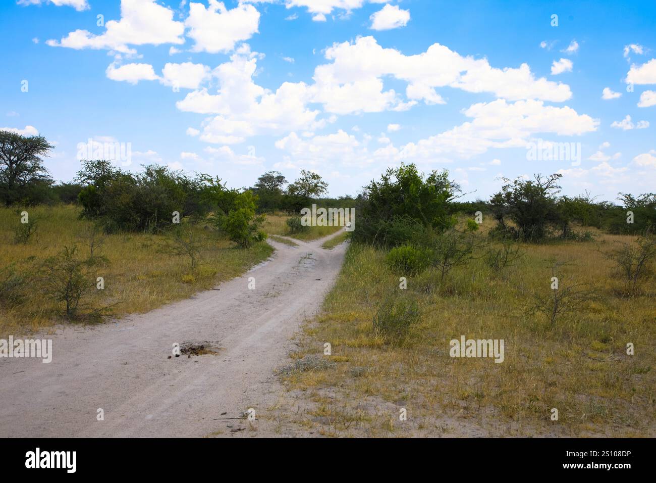 Sandy gravel road through the desert in the beautiful Kalahari National ...