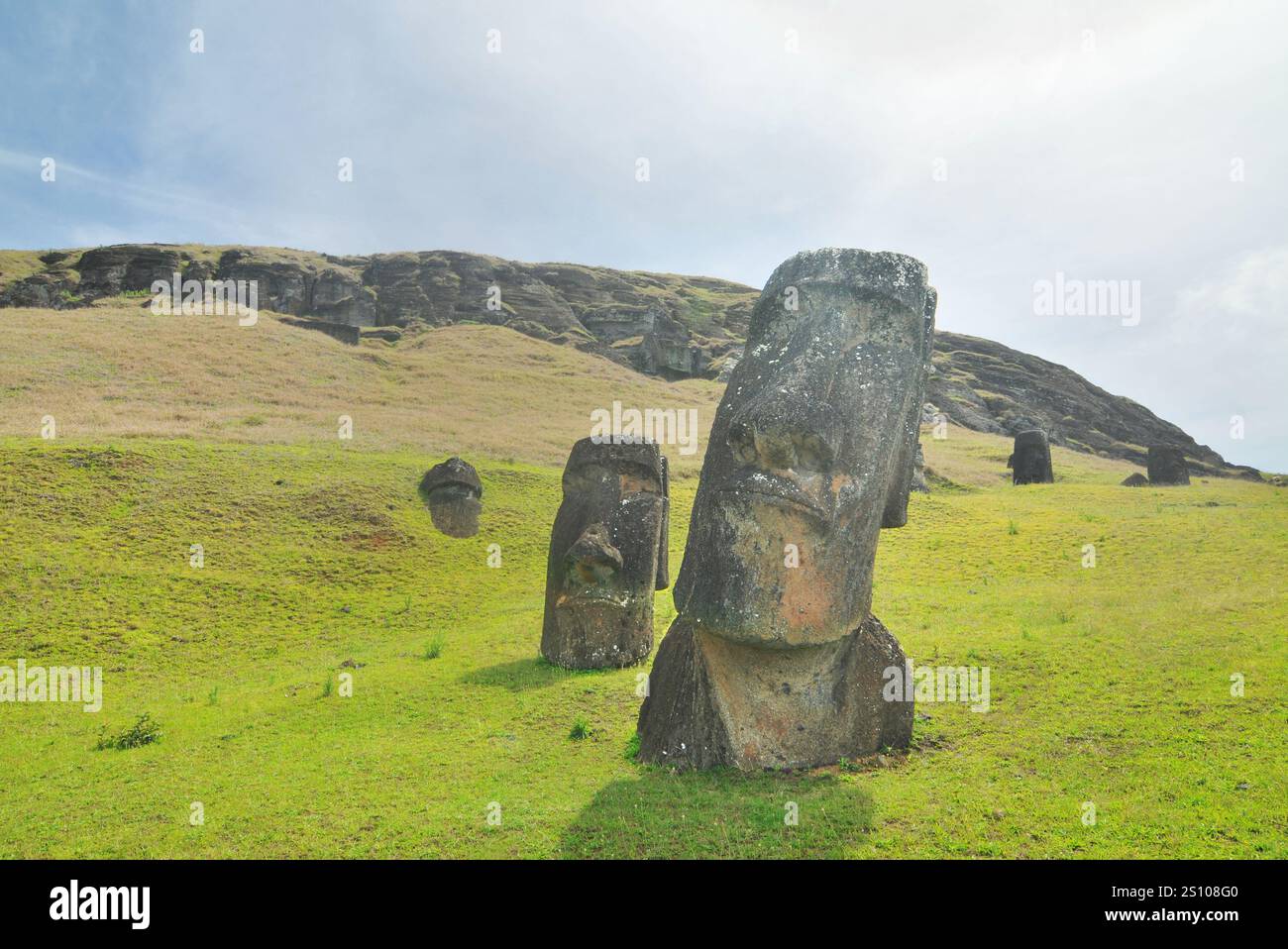 Moai statues abandoned on the slopes of the Rano Raraku volcano on ...