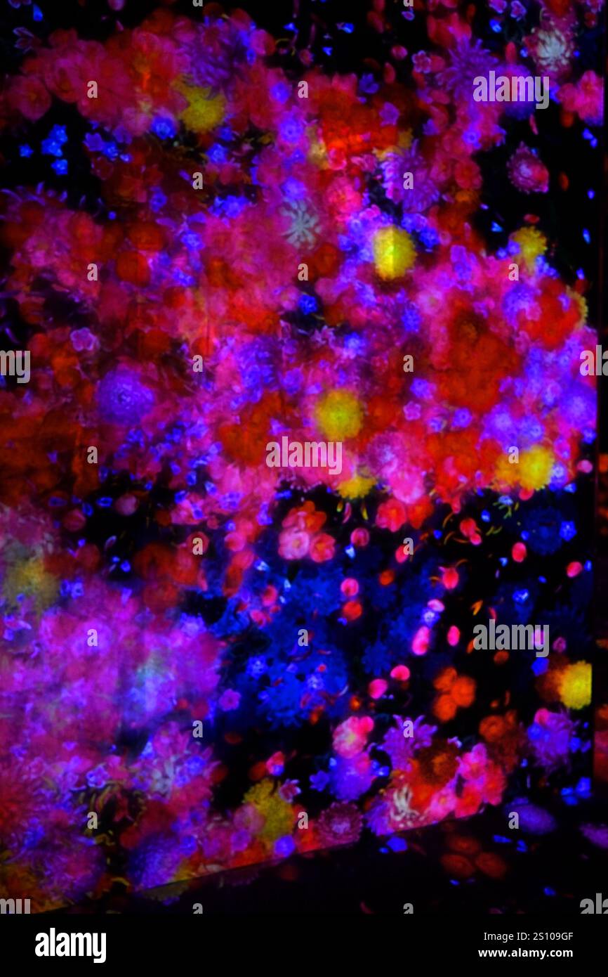 TeamLab Planets Tokyo Japan Stock Photo - Alamy