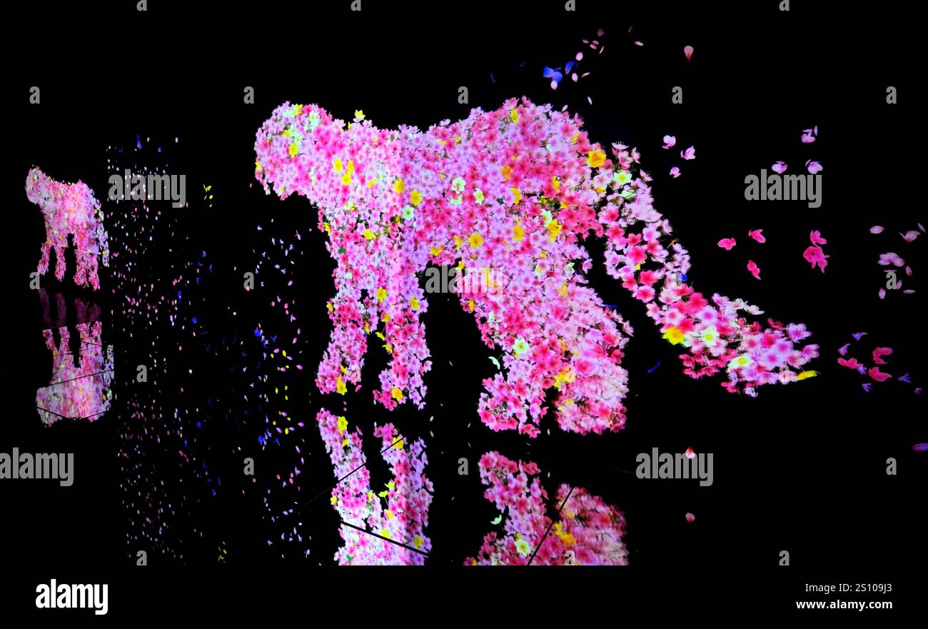 TeamLab Planets Tokyo Japan Stock Photo - Alamy