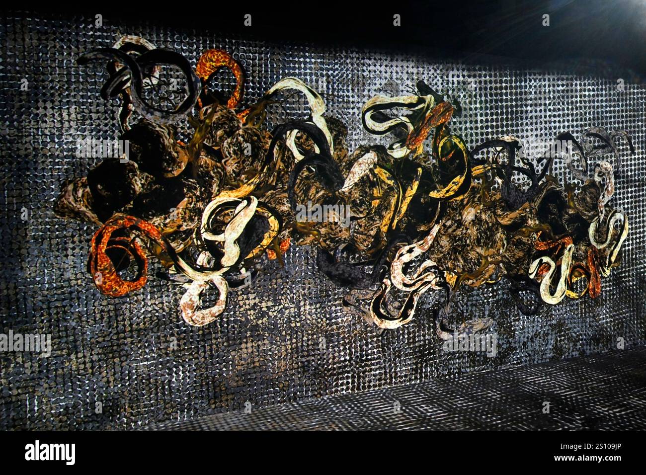 TeamLab Planets Tokyo Japan Stock Photo - Alamy