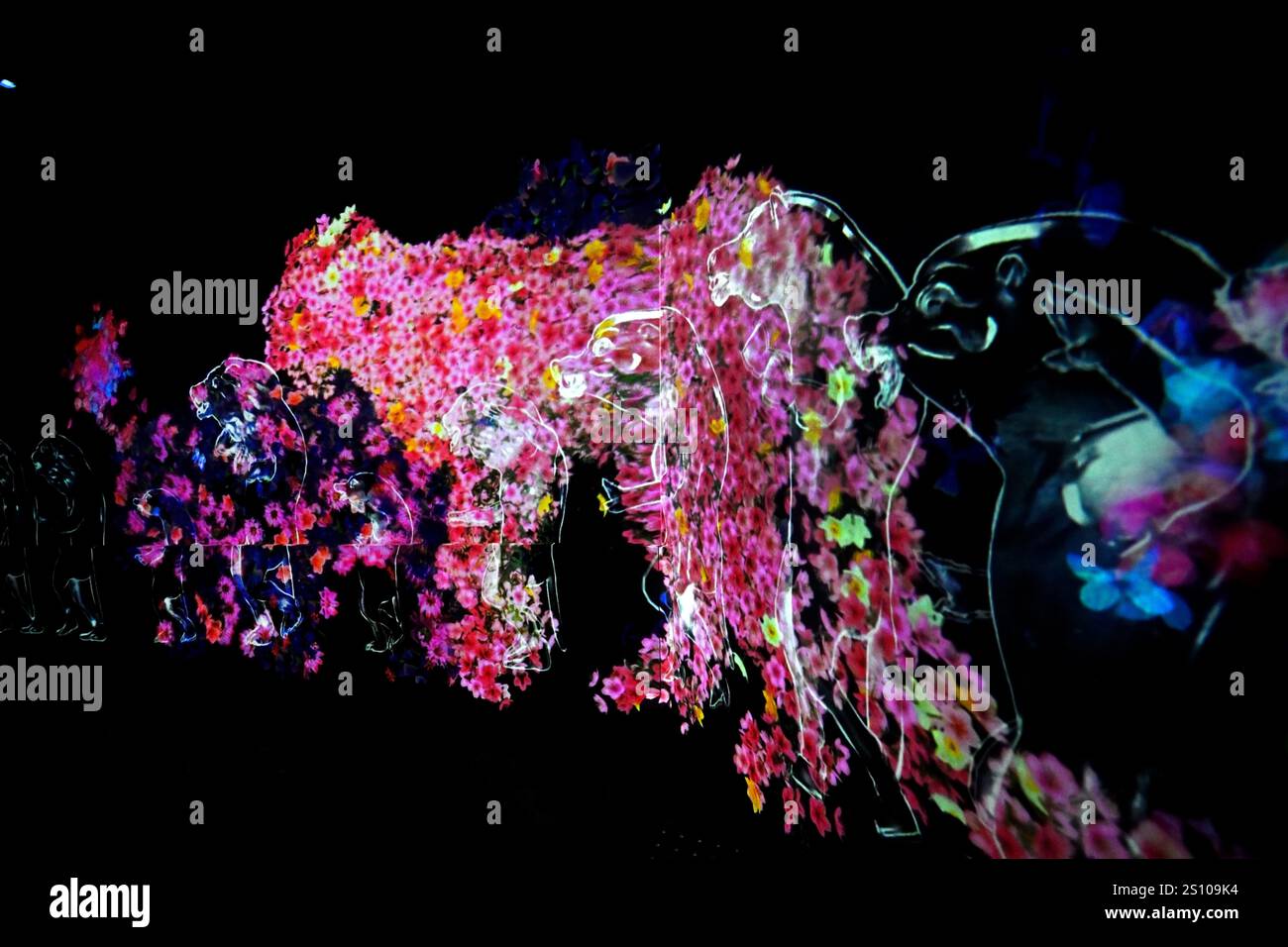 TeamLab Planets Tokyo Japan Stock Photo - Alamy