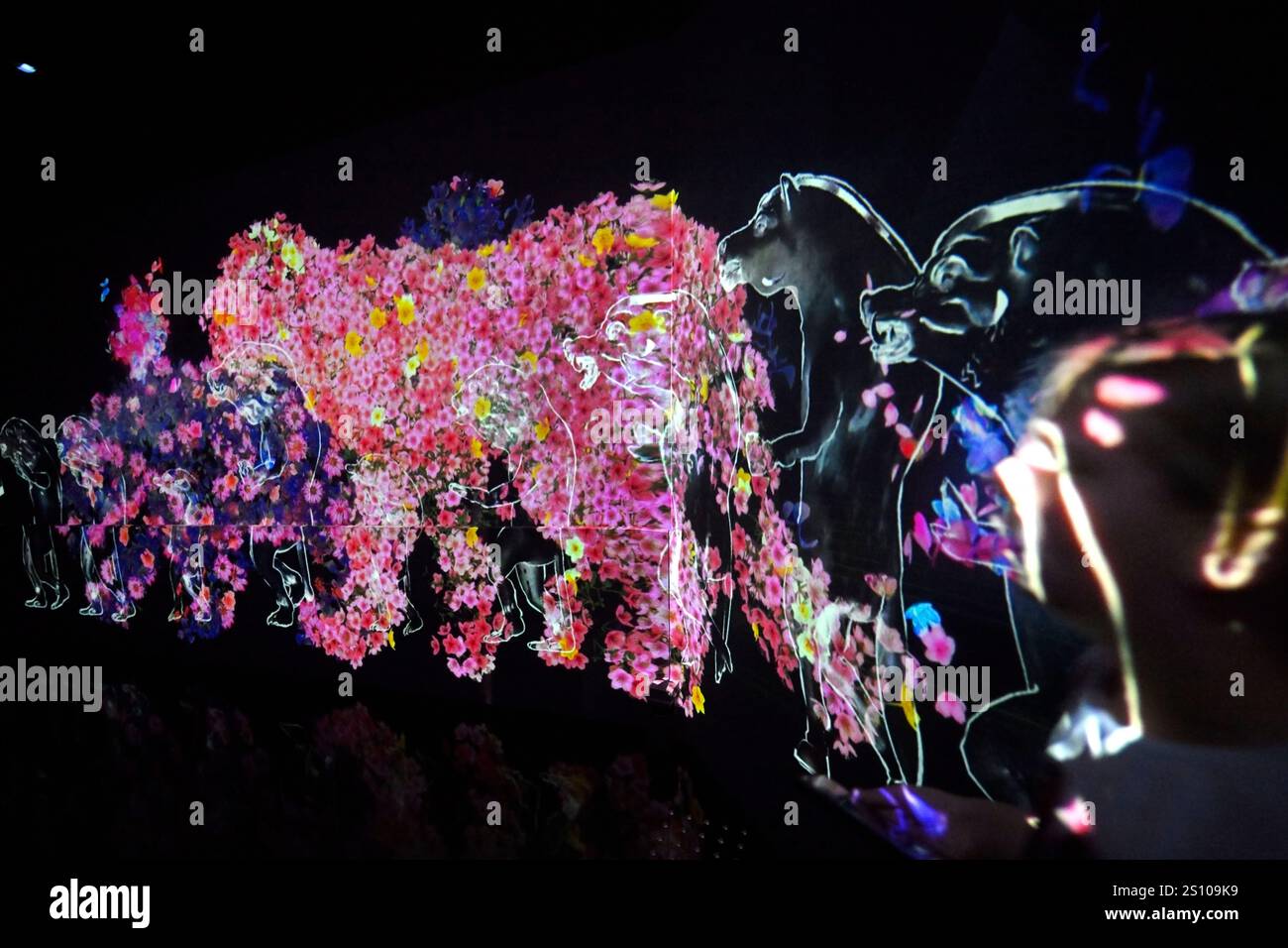 TeamLab Planets Tokyo Japan Stock Photo - Alamy