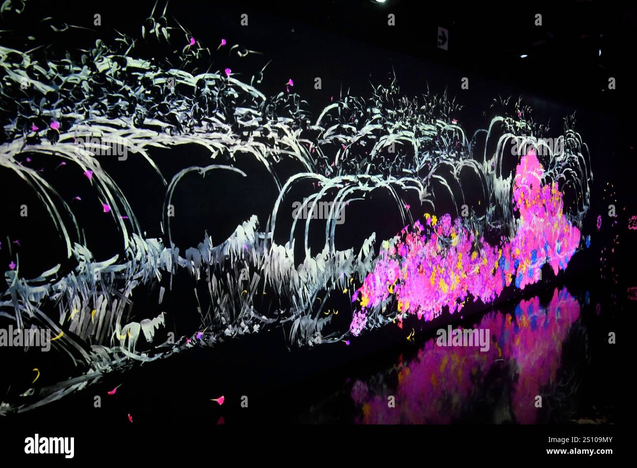 TeamLab Planets Tokyo Japan Stock Photo - Alamy