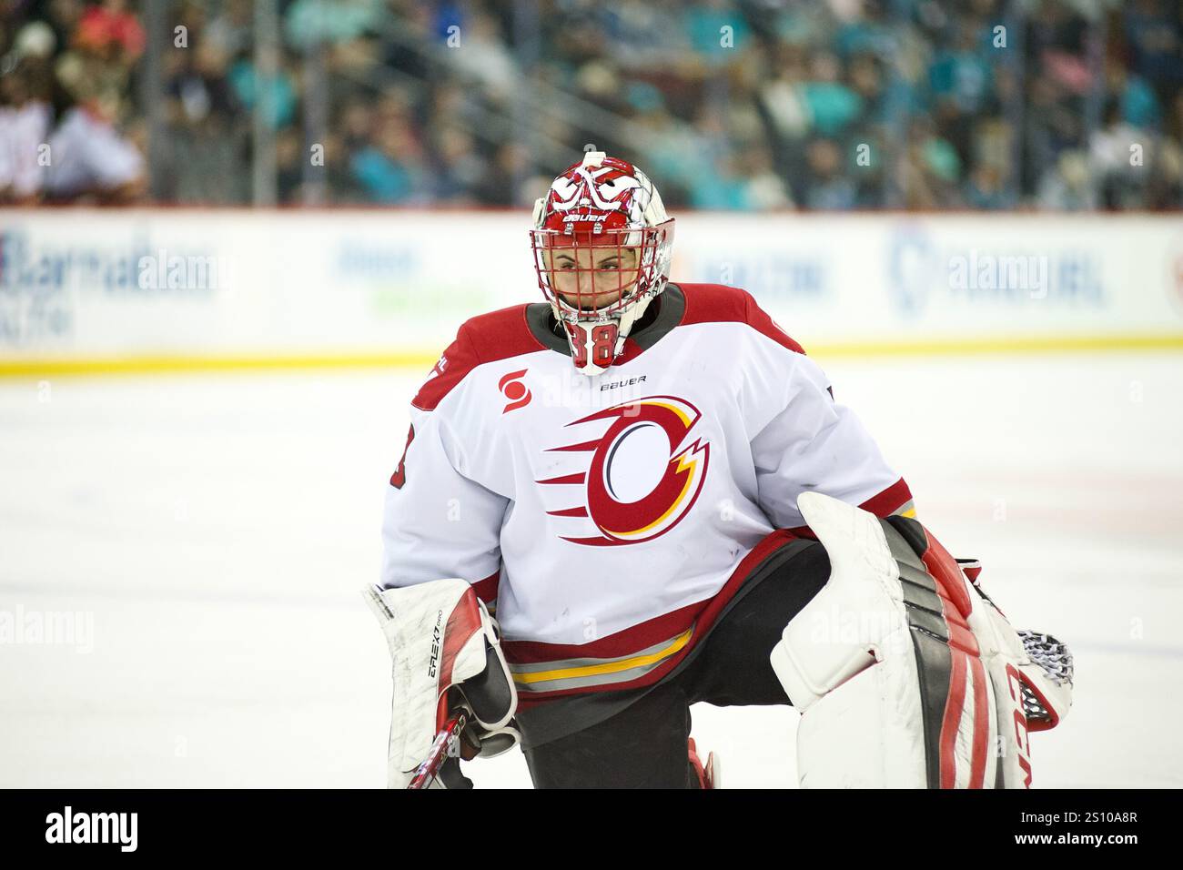 Newark, USA. 29th Dec, 2024. Ottawa goalie Emerance Maschmeyer (38 ...