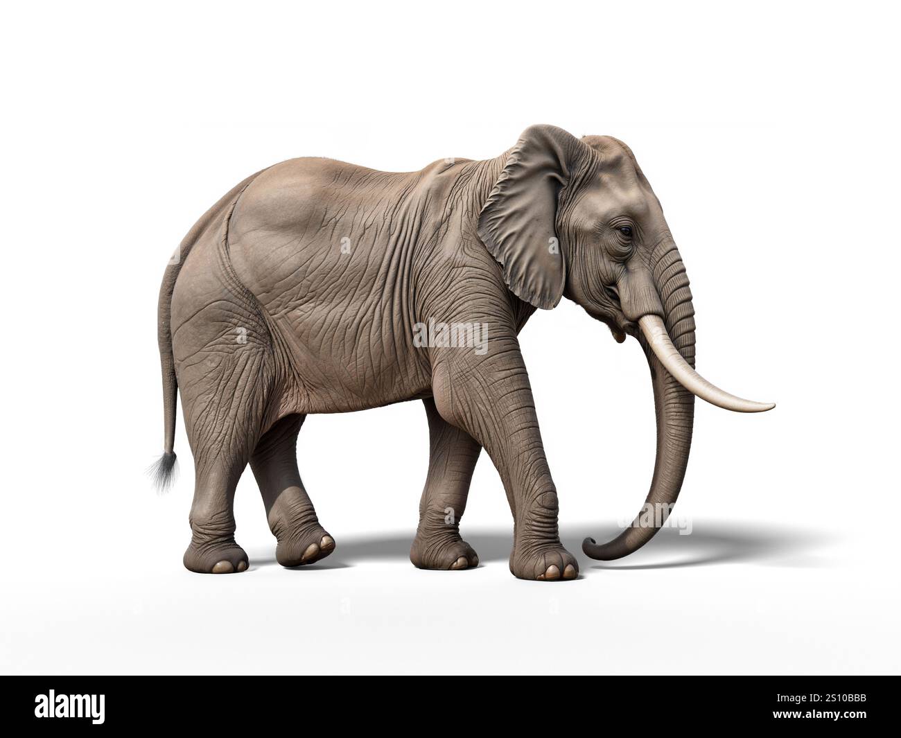 Realistic 3D render of an African elephant with large tusks. 3d render ...