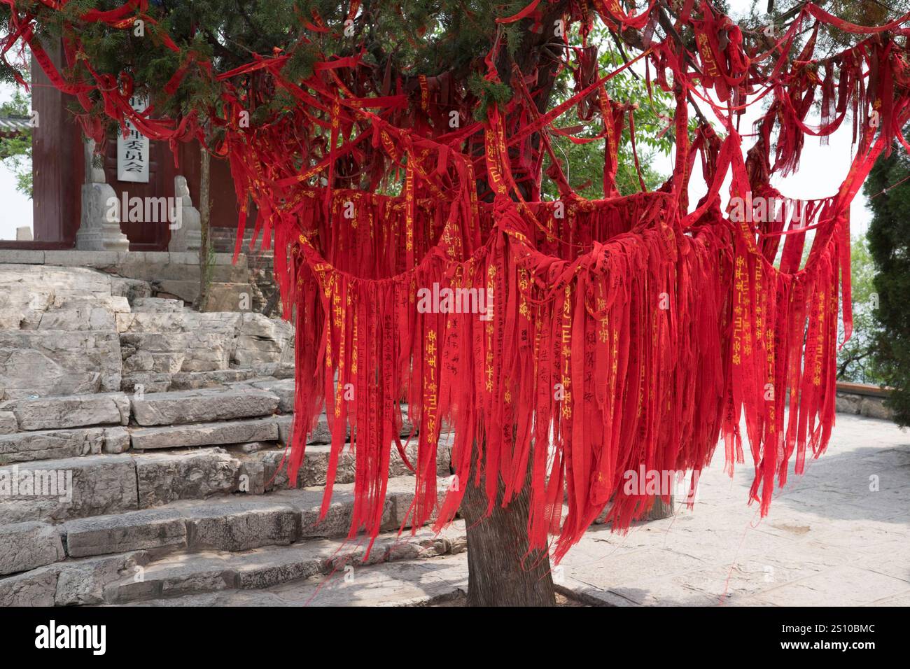 China, Qingzhou, 2015-06-07, architecture, temple, prayer tree, red ...