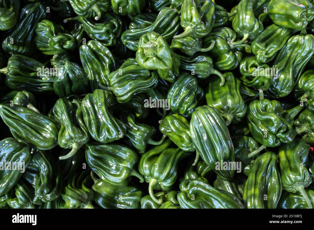 China, Yantai, 2018-05-30, green peppers, vegetable, green color ...