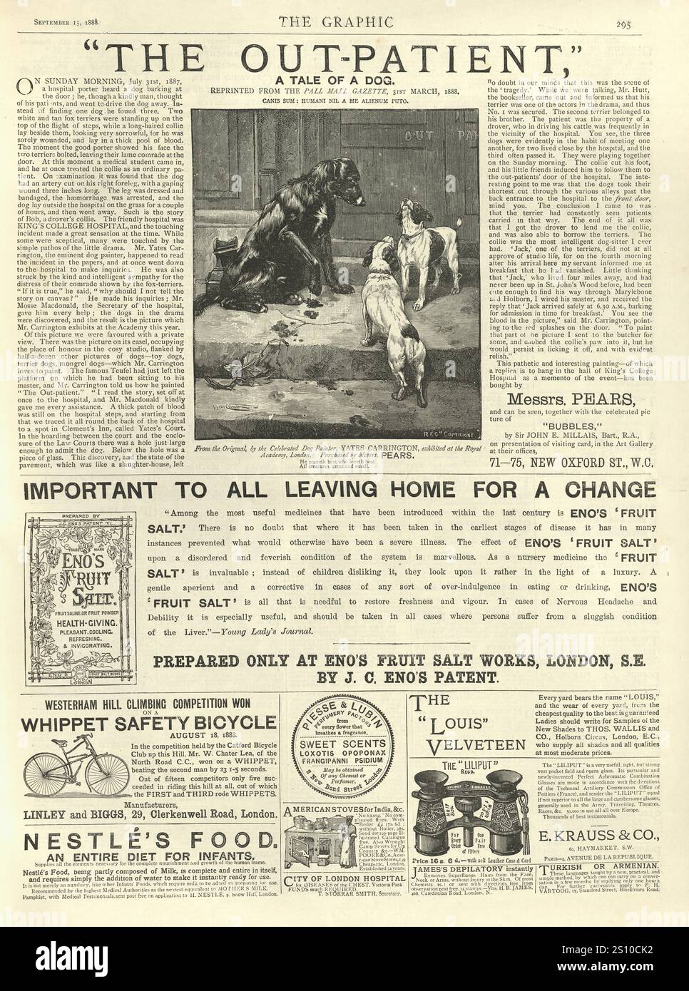 Victorian newspaper page, Out Patient a tale of a dog, 1880s Stock ...