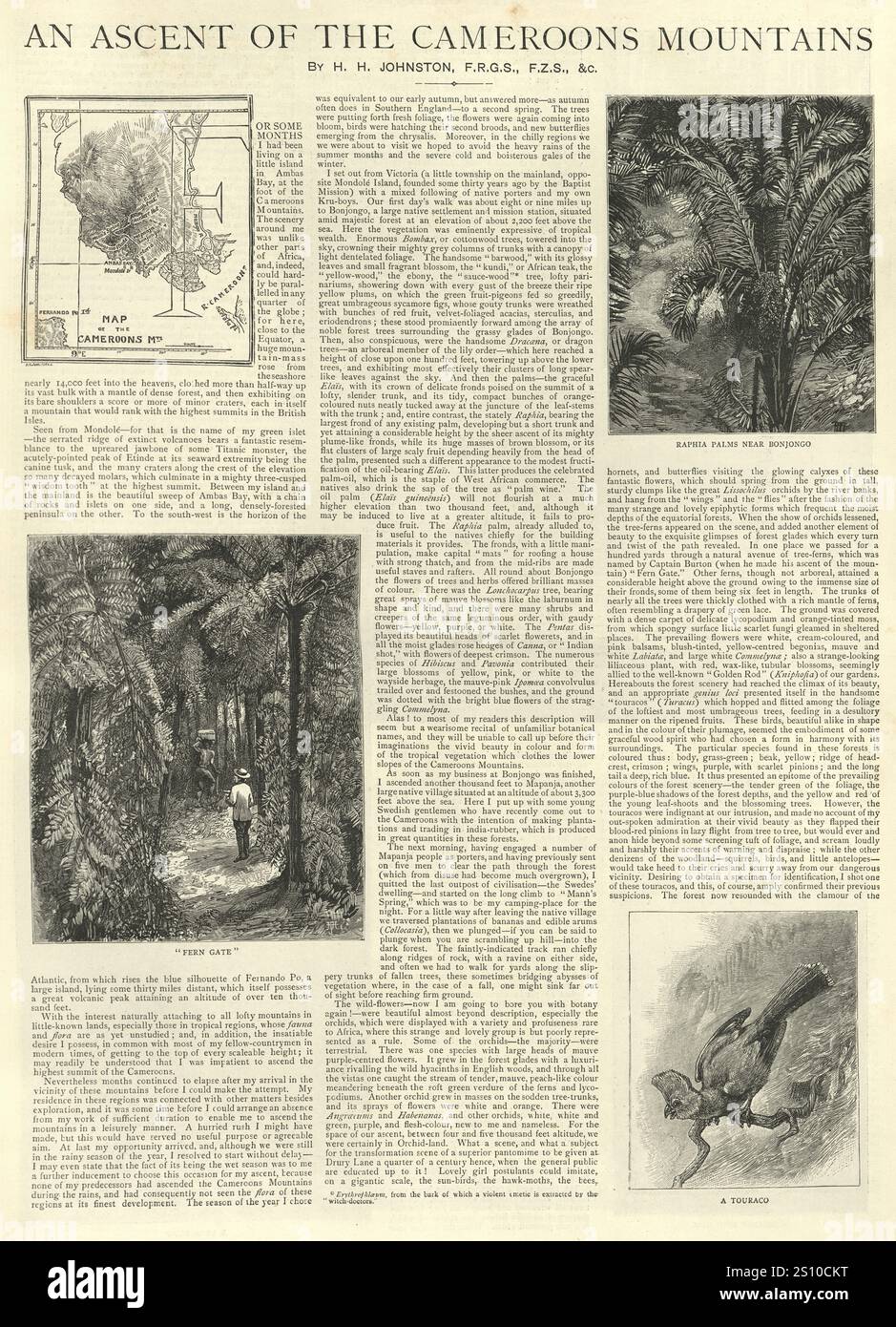 Vintage illustration of Ascent of the Cameroons Mountains, by Sir Henry ...