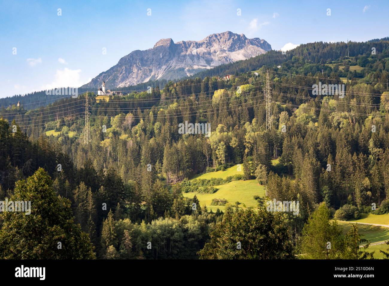 Trees and Mountain of The Swiss Alps Stock Photo - Alamy