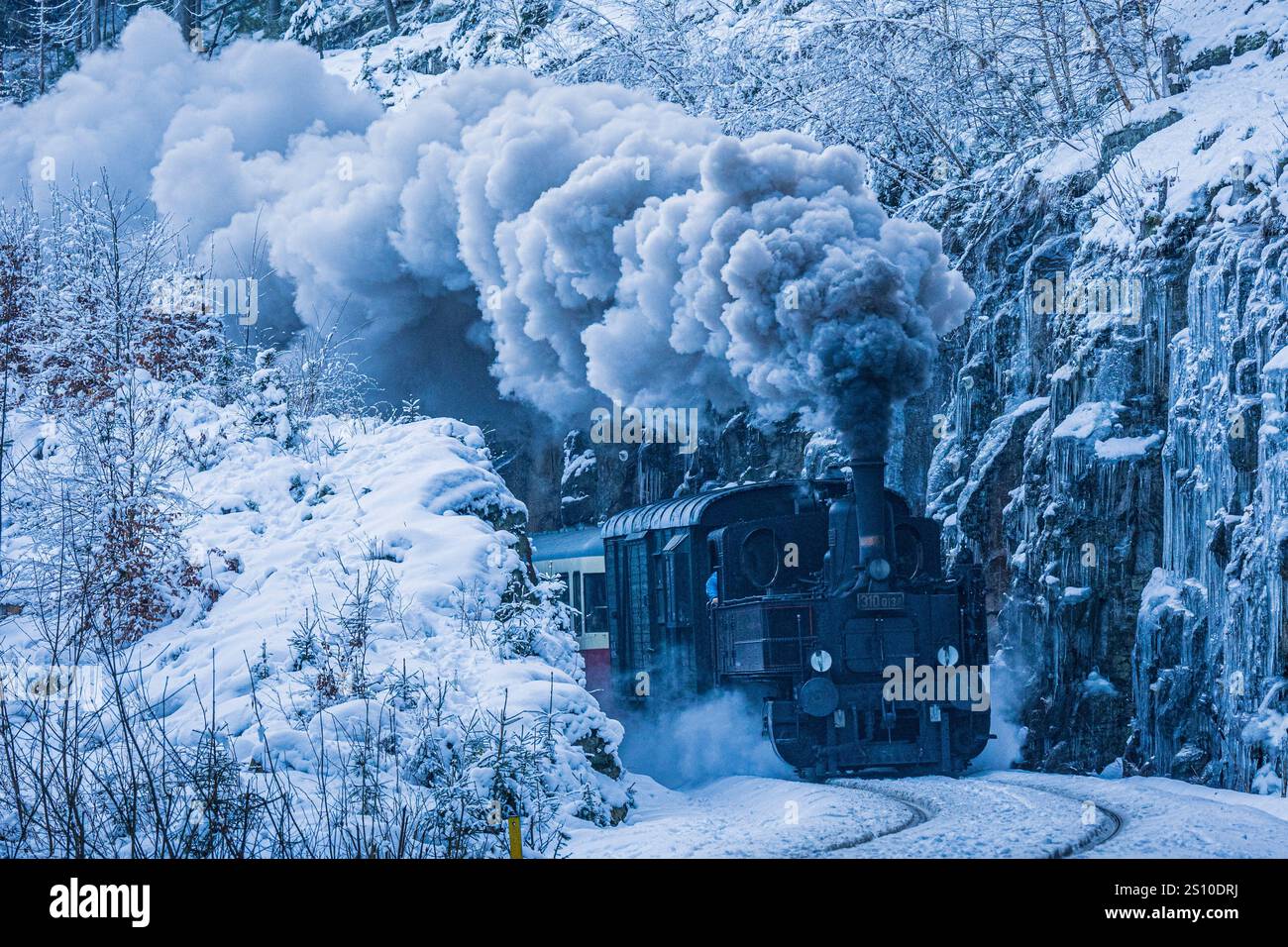 Korenov, Czech Republic. 30th Dec, 2024. Steam locomotive 310.0134 ...
