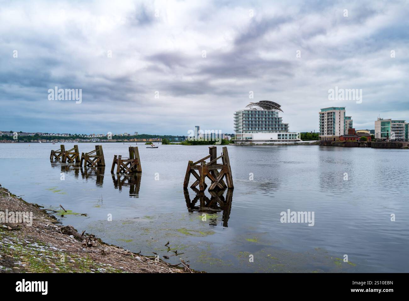 Wooden dolphin pilings in Cardiff Bay, Wales, with mirror reflection ...
