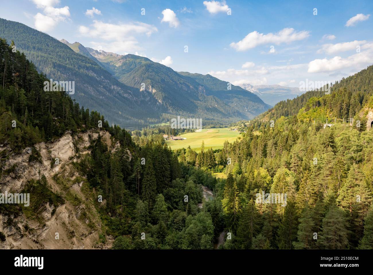 Trees and Mountain of The Swiss Alps Stock Photo - Alamy