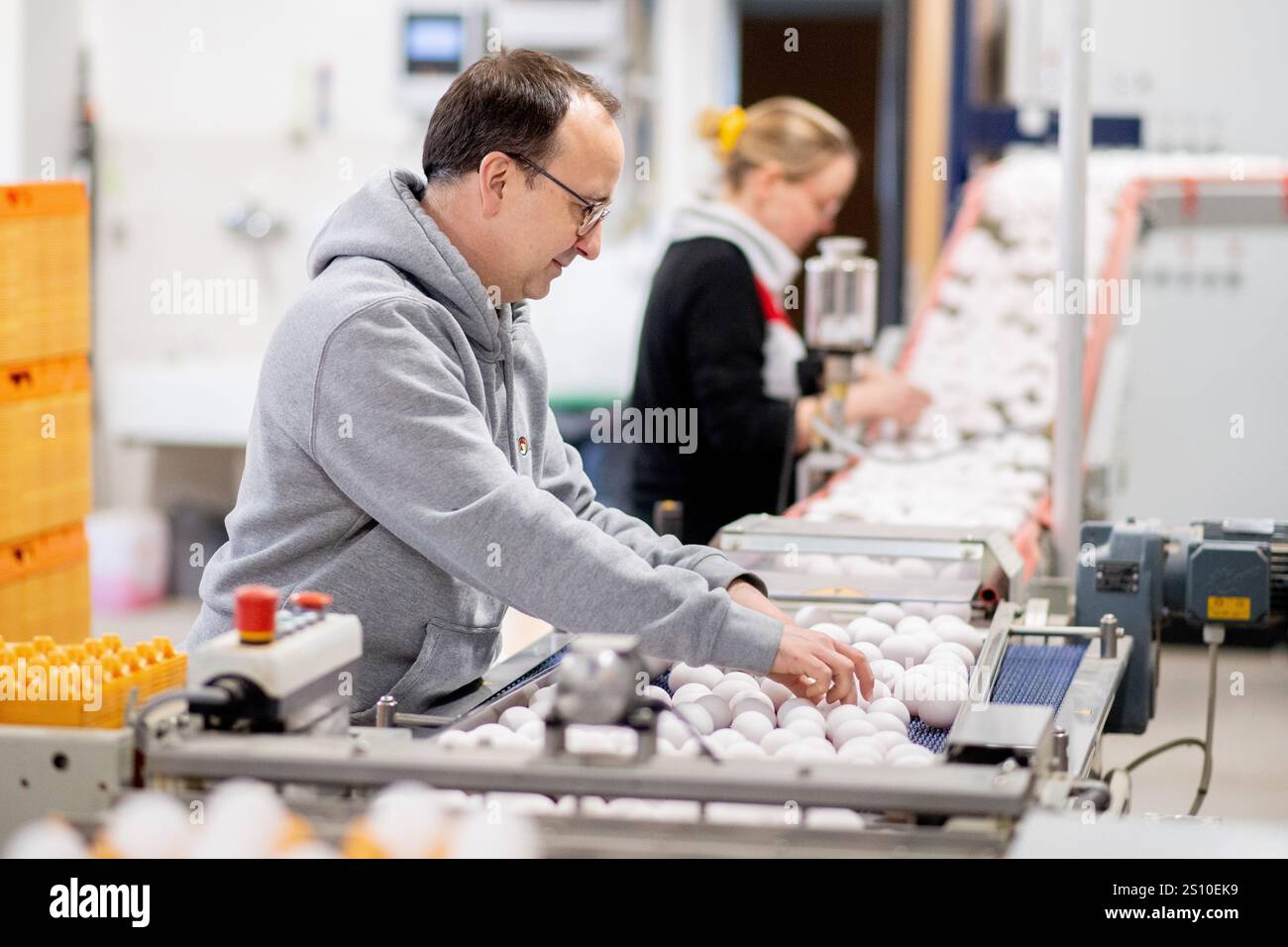 Twistringen, Germany. 05th Nov, 2024. Dirk Siemers, farmer and operator ...