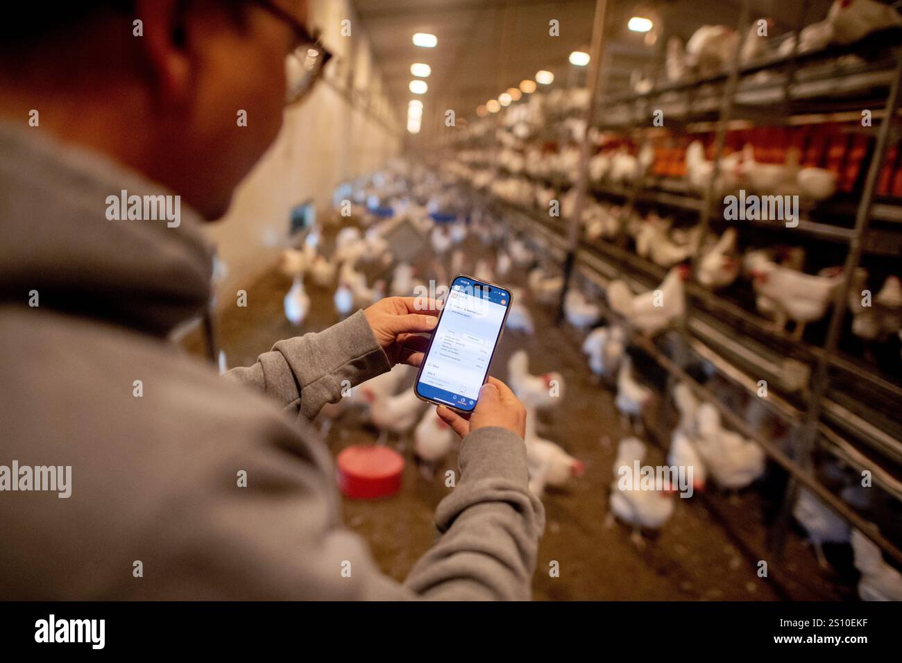 Twistringen, Germany. 05th Nov, 2024. Dirk Siemers, farmer and operator ...