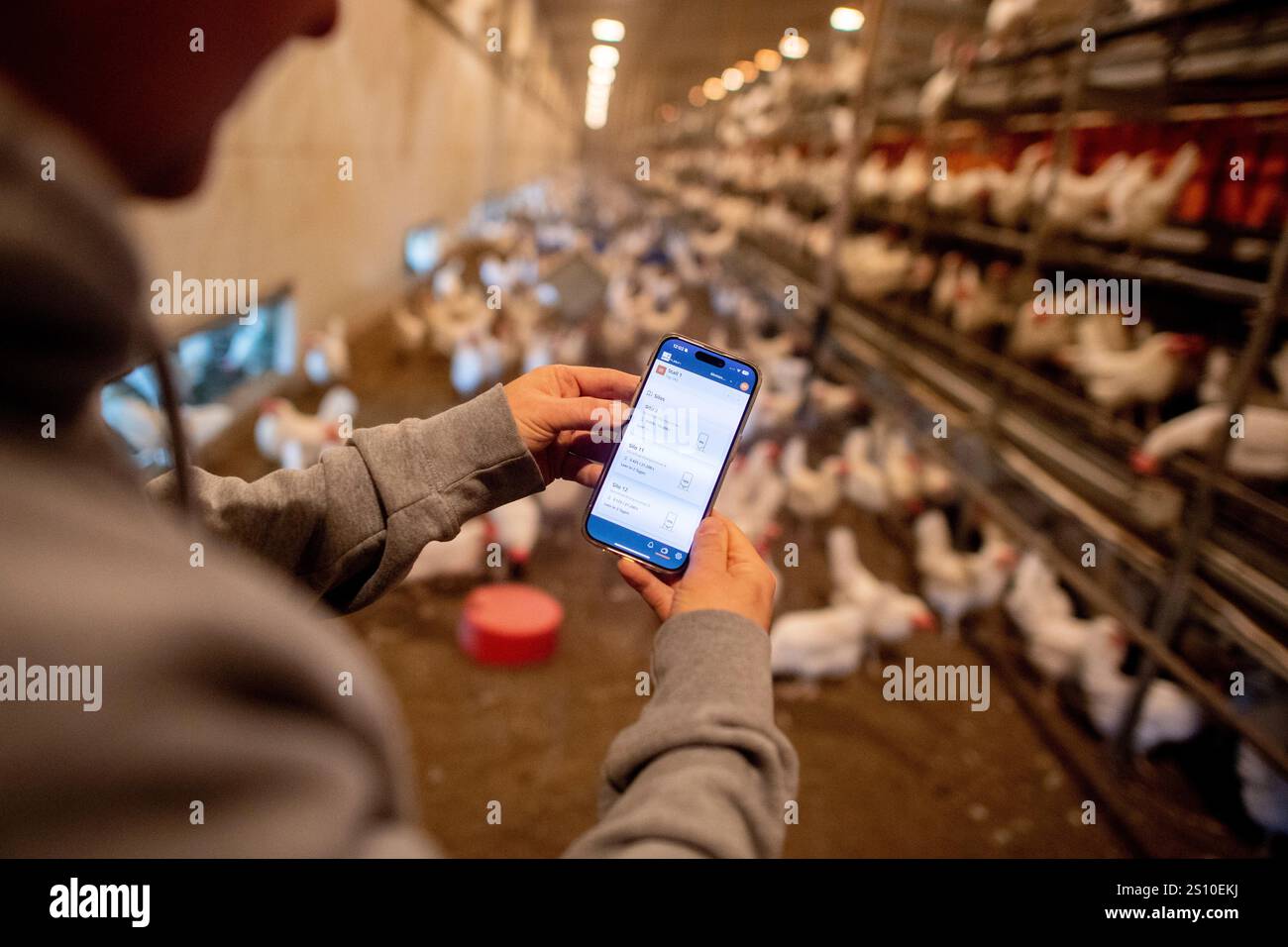 Twistringen, Germany. 05th Nov, 2024. Dirk Siemers, farmer and operator ...