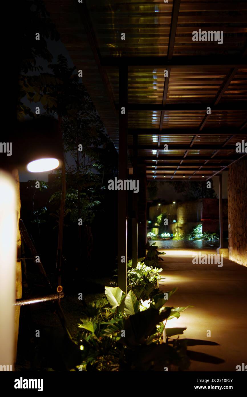 a dimly lit walkway at night with plants and flickering light at a cafe ...