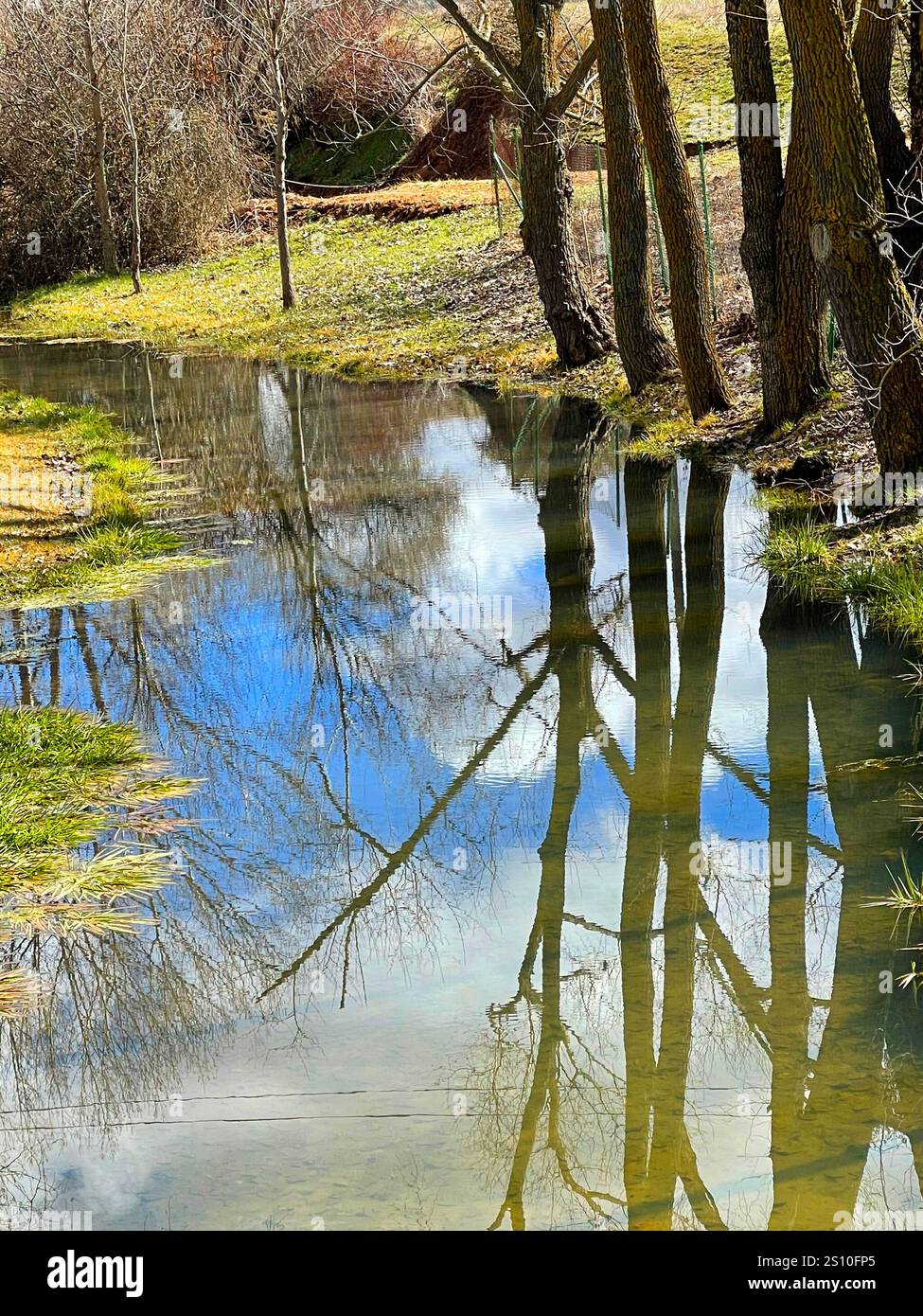Reflections on river water Stock Photo - Alamy