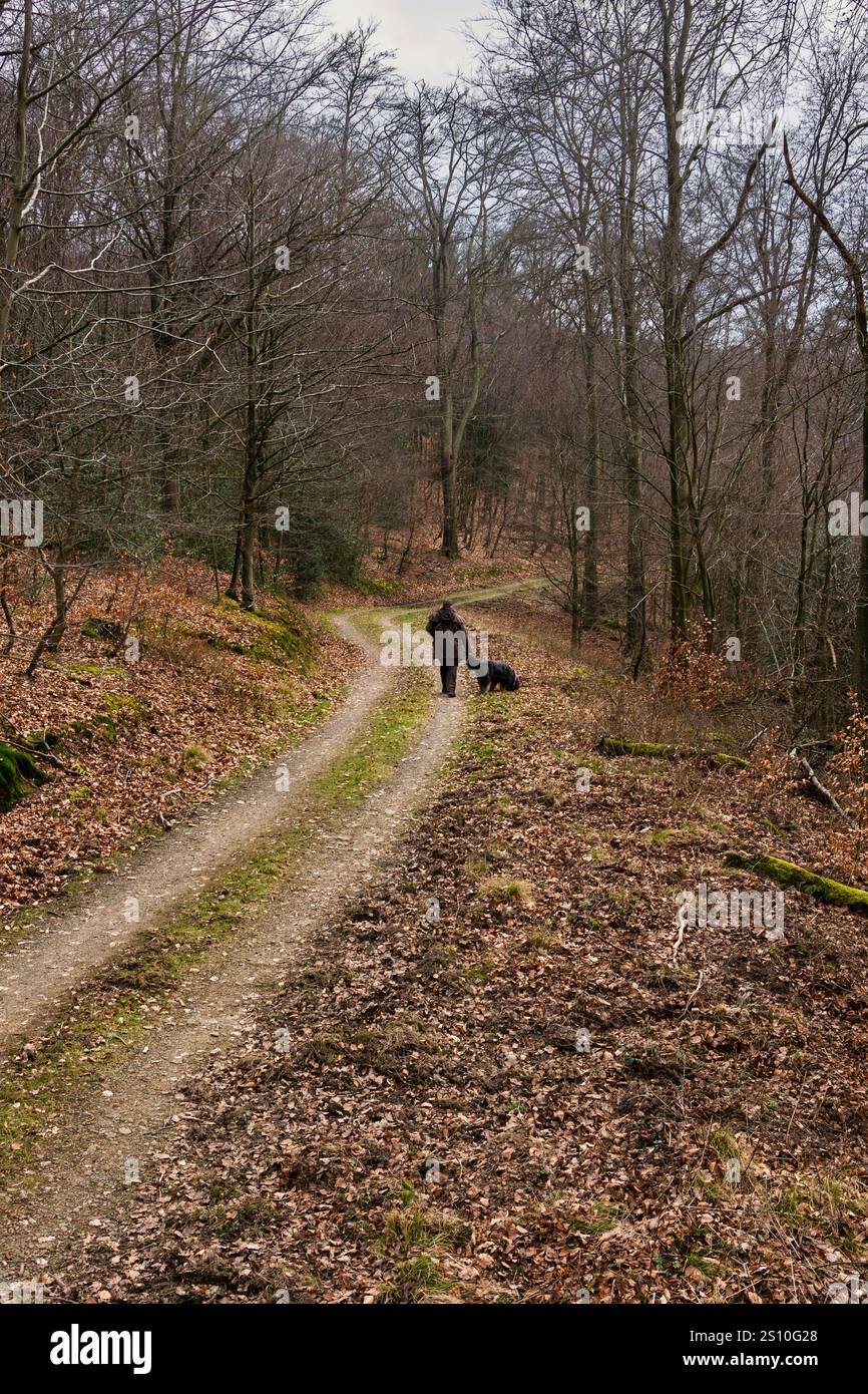 Walking in spring forest landscape hi-res stock photography and images ...