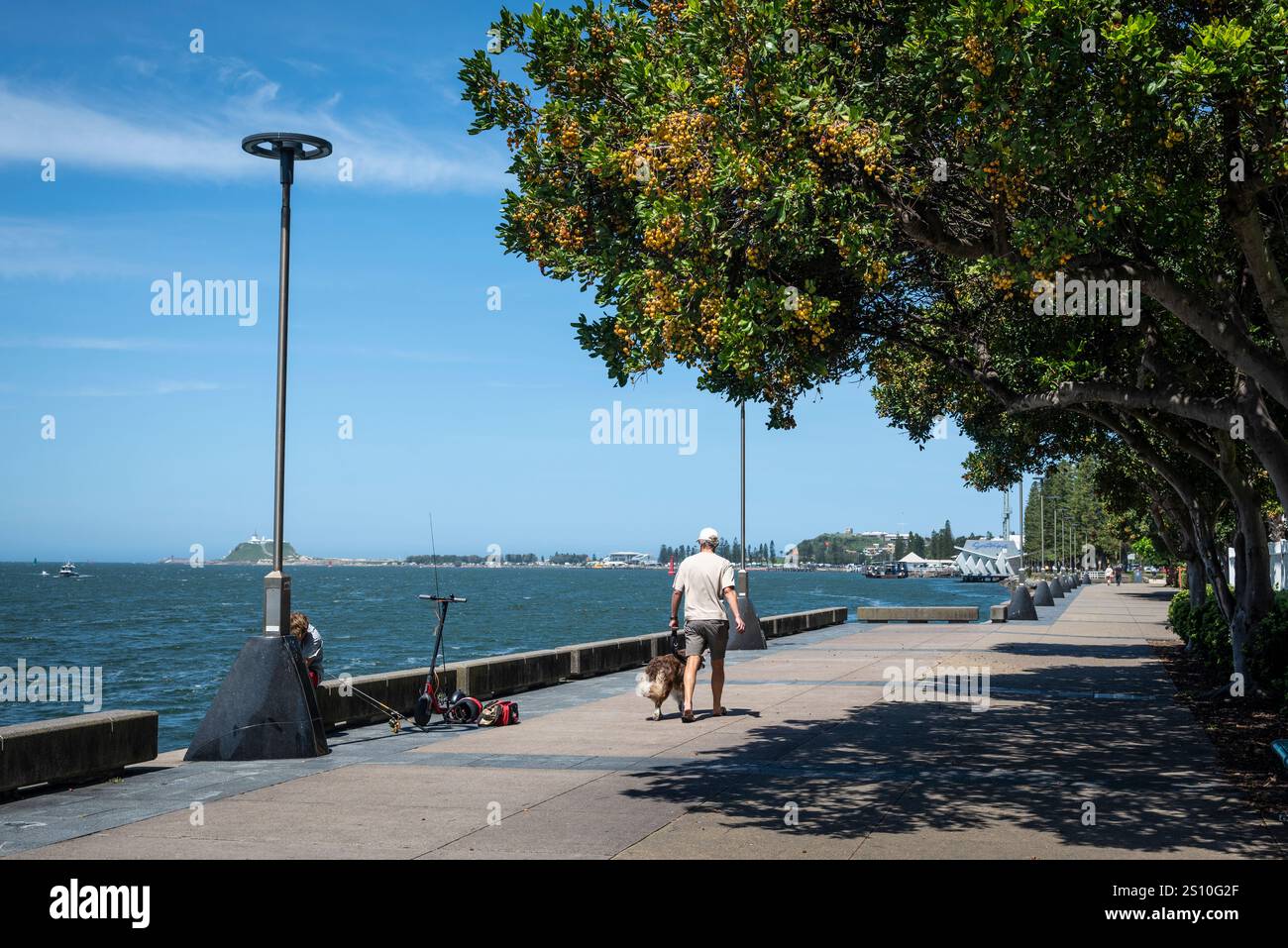 Honeysuckle Walk Harbourside Promenade, entertainment area with cafes ...