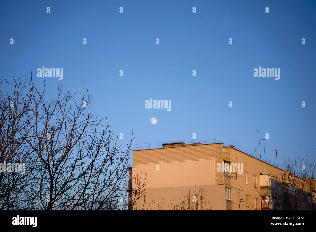 full moon over paneled high-rise building at sunset Stock Photo - Alamy