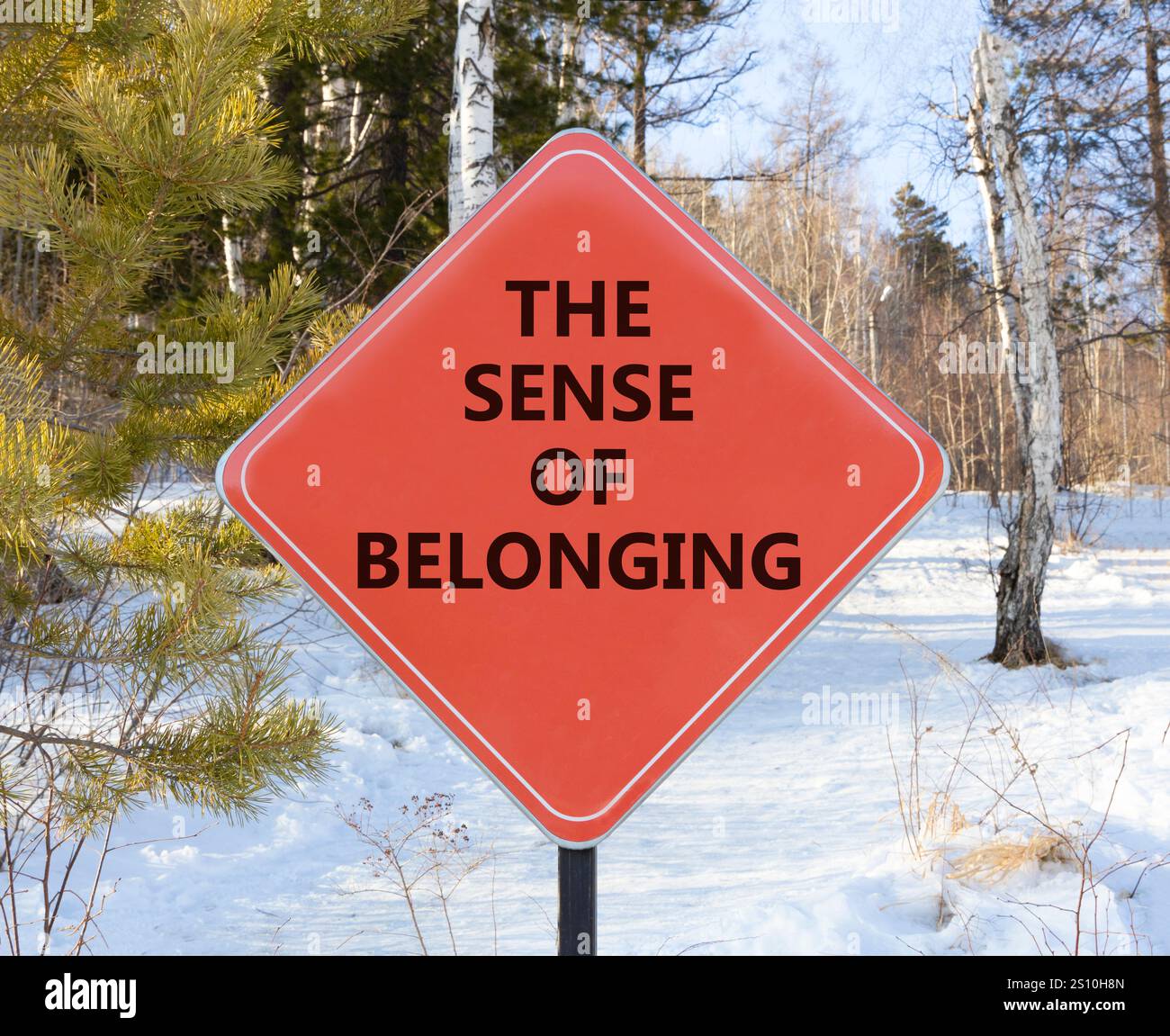 The sense of belonging symbol. Concept words The sense of belonging on ...