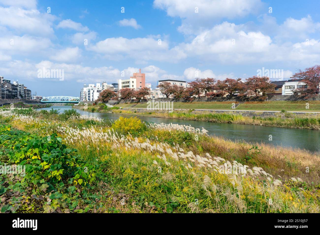 At Sai River in Kanazawa/Japan Stock Photo - Alamy