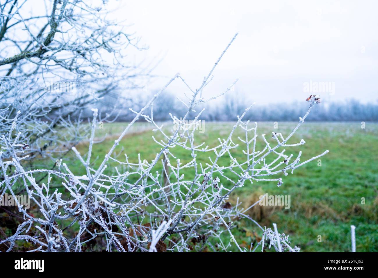 Hoarfrost formation hi-res stock photography and images - Alamy
