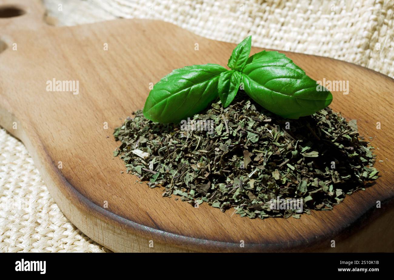 Green basil and dried basil on a wooden board against a burlap ...