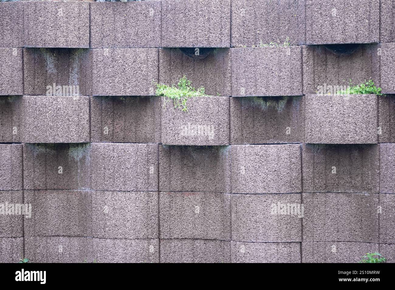 A fragment of a concrete or stone wall with hollow protrusions ...