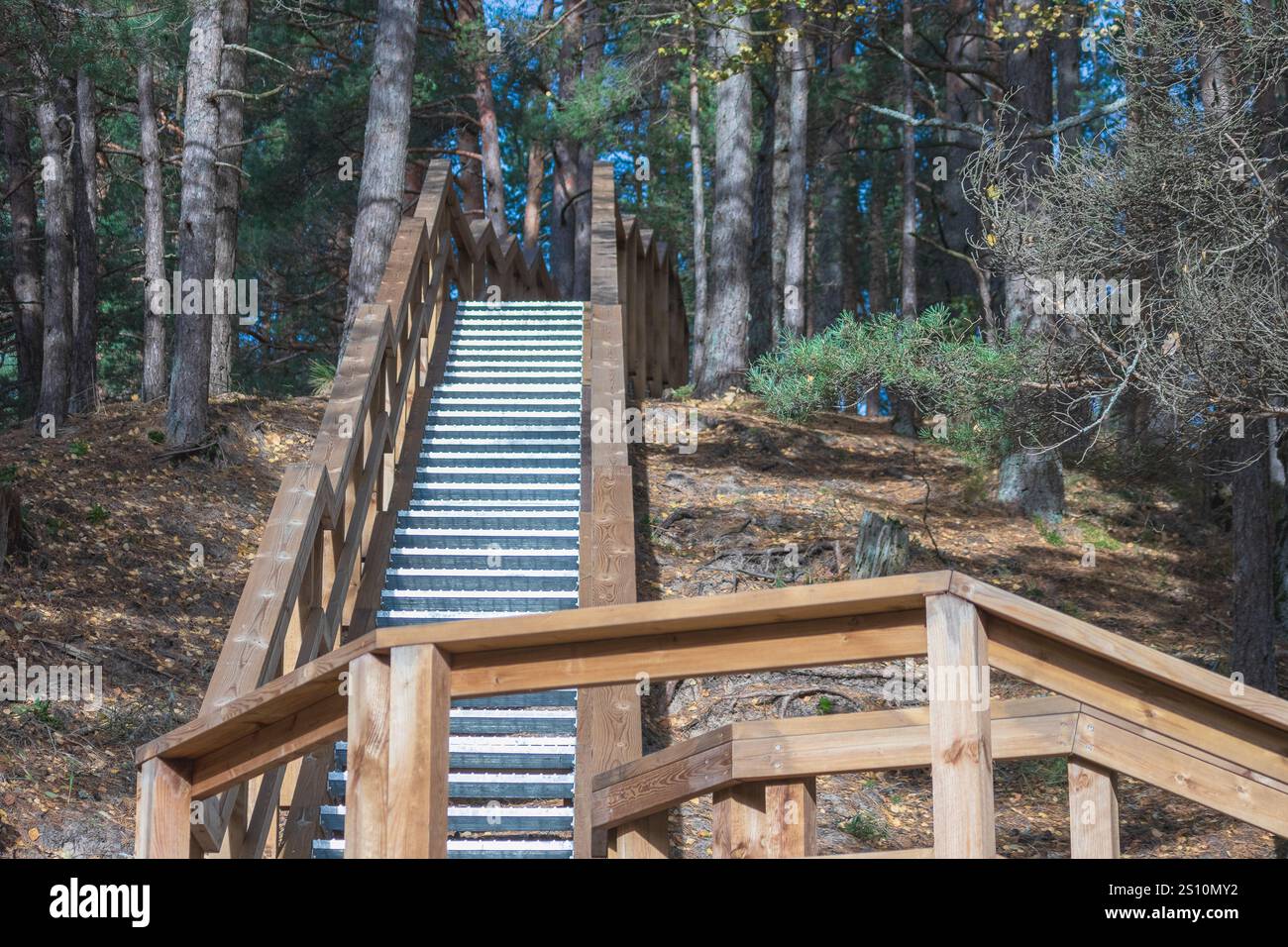 A section of wooden stairs in the forest. The stairs lead up a steep ...