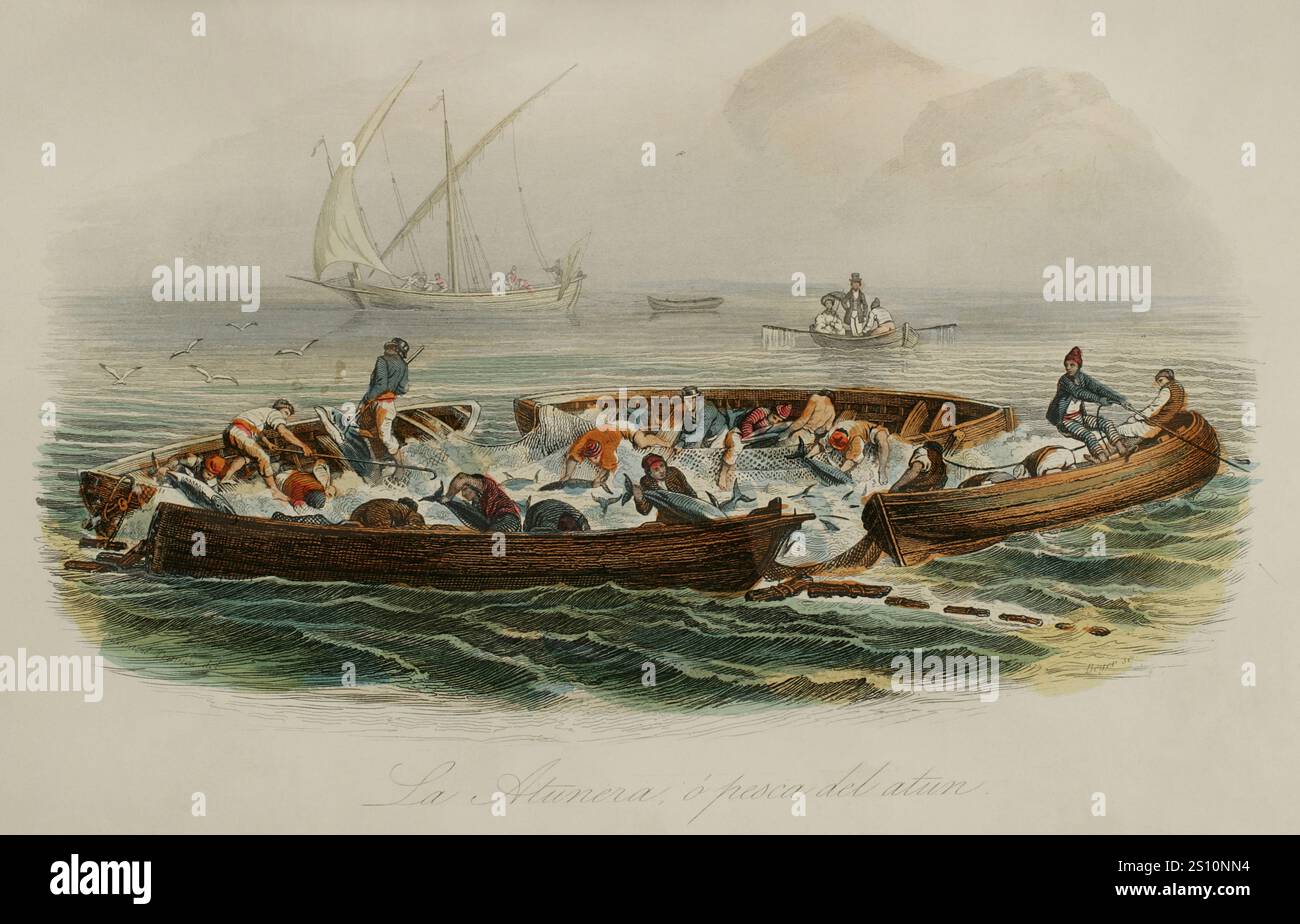 Tuna fishing. Drawing by Edouard Travies. Handcoloured engraving by ...