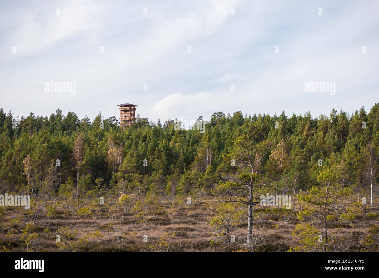 Beautiful shot small field tower hi-res stock photography and images ...