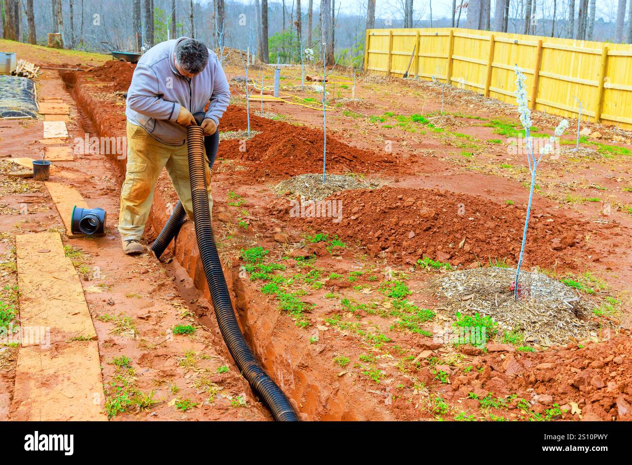 Worker installs drainage pipes in backyard to ensure proper water ...