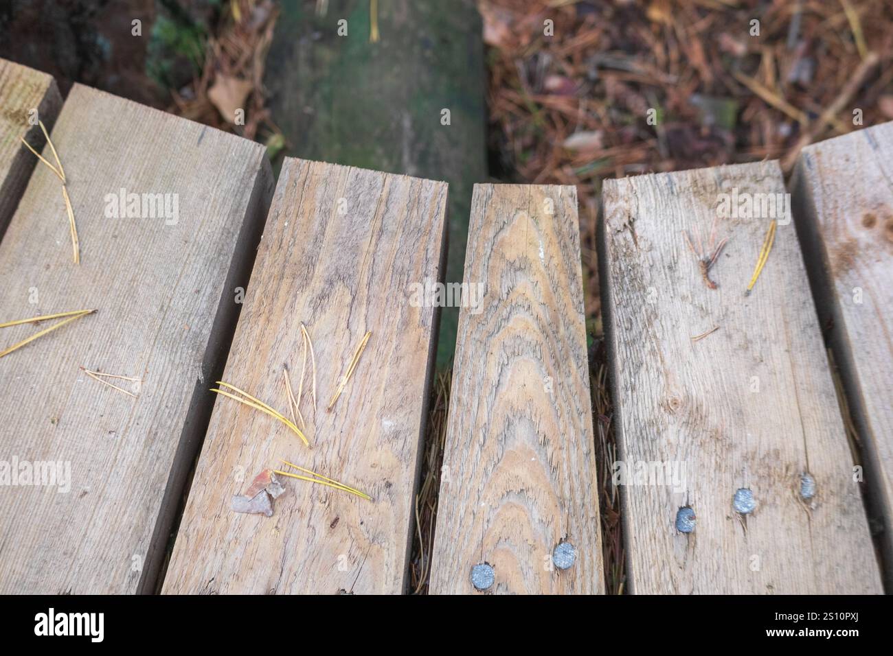 Wooden boardwalk surface. The boardwalk is made of several boards ...