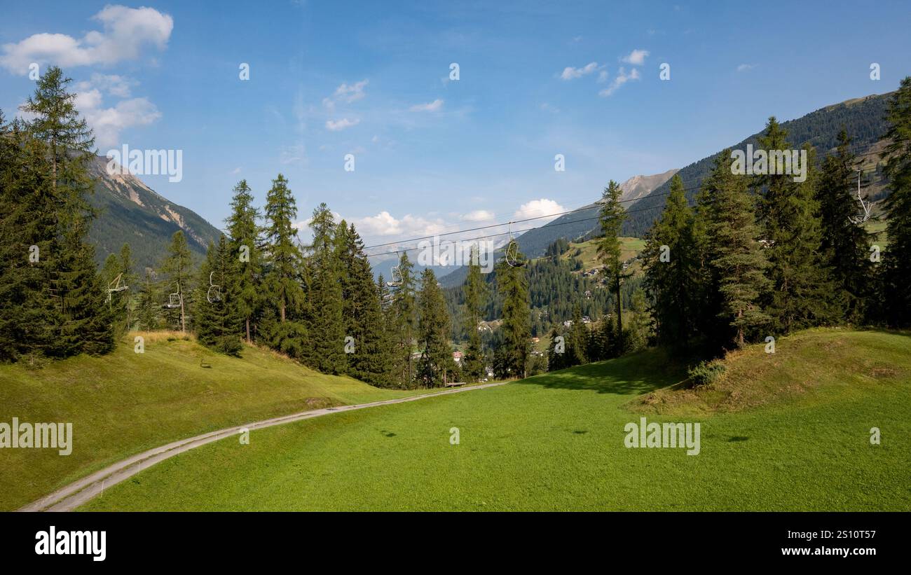 Trees and Mountain of The Swiss Alps Stock Photo - Alamy