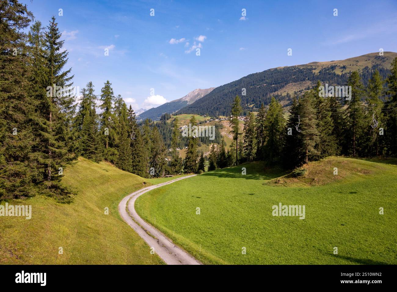 Trees and Mountain of The Swiss Alps Stock Photo - Alamy