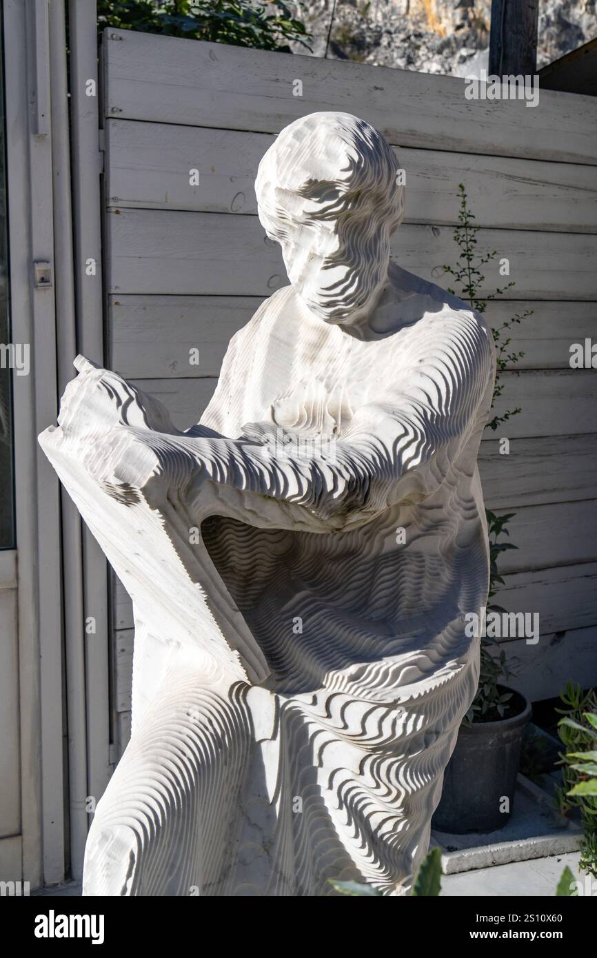 A sculpture roughed out with a CNC milling machine prior to hand ...