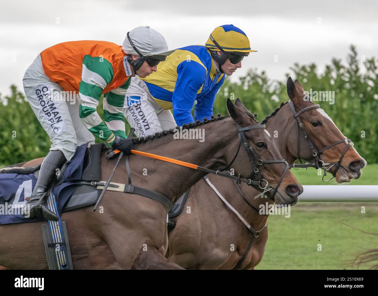 Jamie insole horse hi-res stock photography and images - Alamy