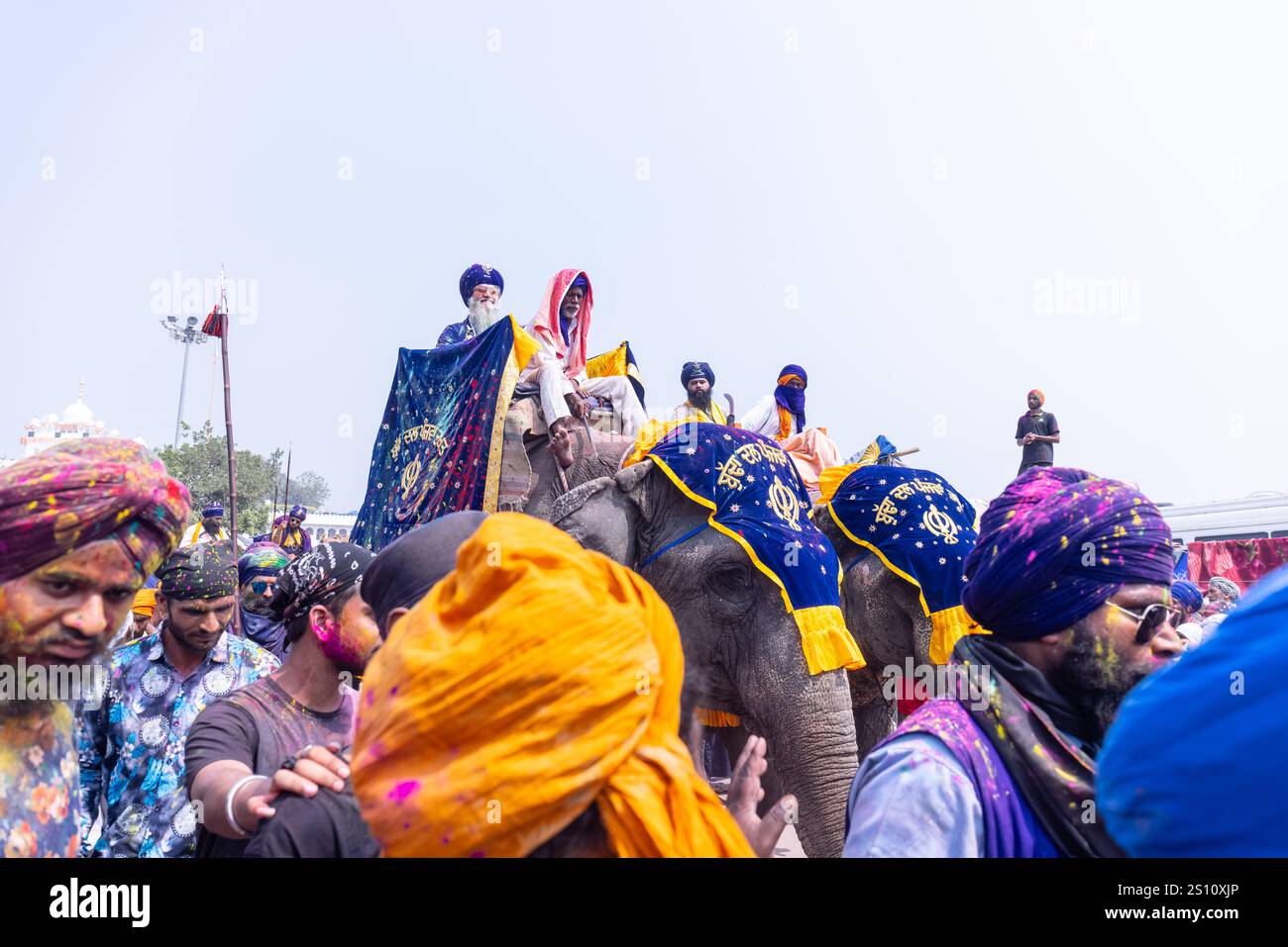 Group of sikh people (Nihang Sardar) during the celebration of Hola ...