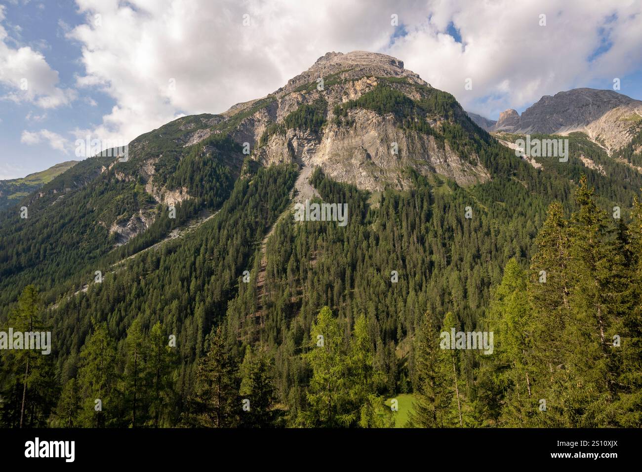 Trees and Mountain of The Swiss Alps Stock Photo - Alamy