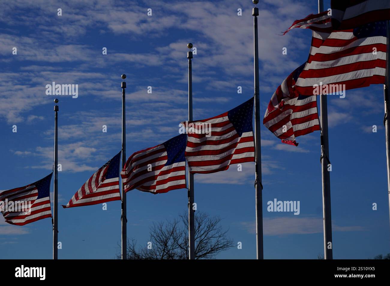 Flags surrounding the Washington Monument are lowered to half staff honoring the death of Jimmy ...