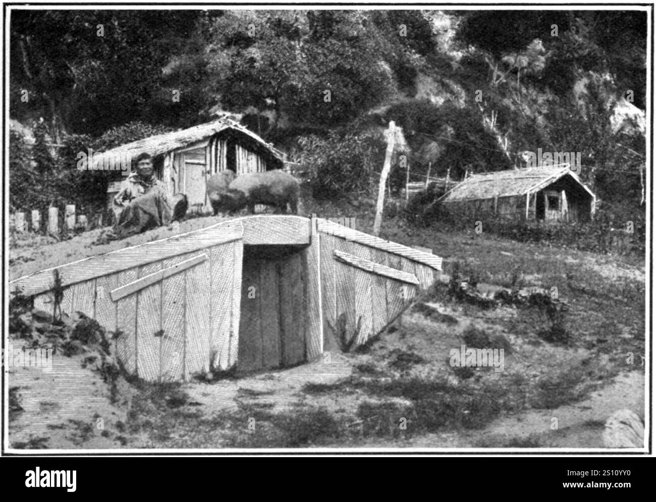 Emerald Hours in New Zealand (1906) · Lowth · 151 Stock Photo - Alamy