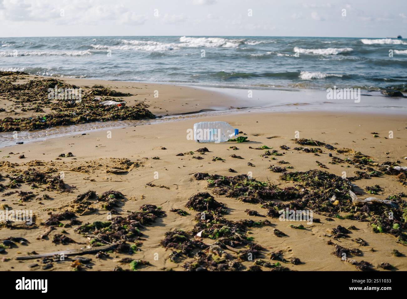 the problems of microplastics on the Black Sea coast. environmental ...