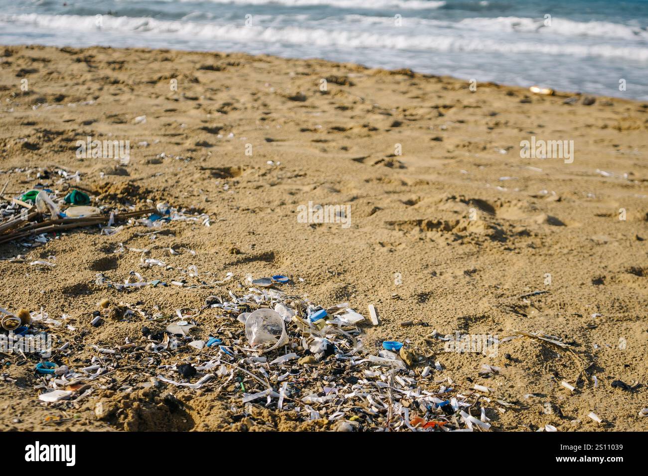 the problems of microplastics on the Black Sea coast. environmental ...