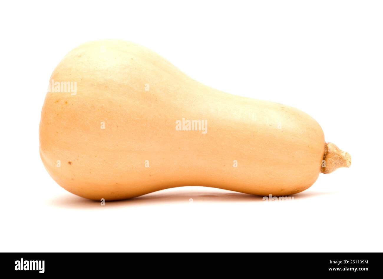 small pale orange ripe butternut squash, a type of winter squash Stock ...