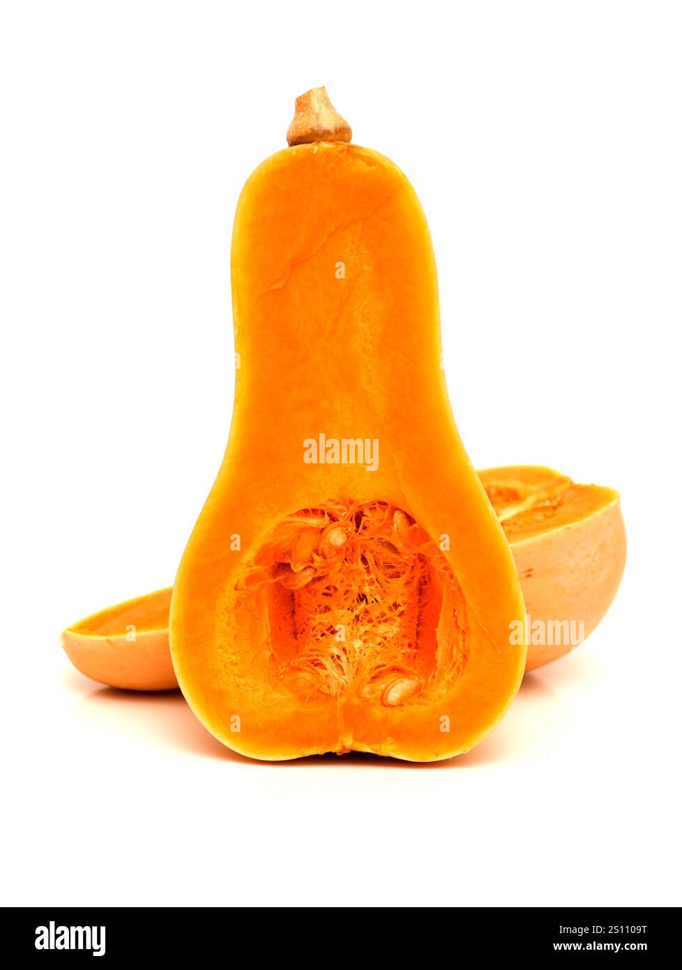 small pale orange ripe butternut squash, a type of winter squash Stock ...