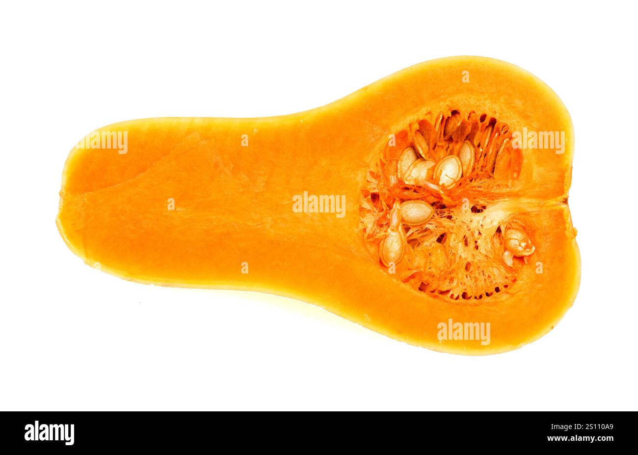 small pale orange ripe butternut squash, a type of winter squash Stock ...